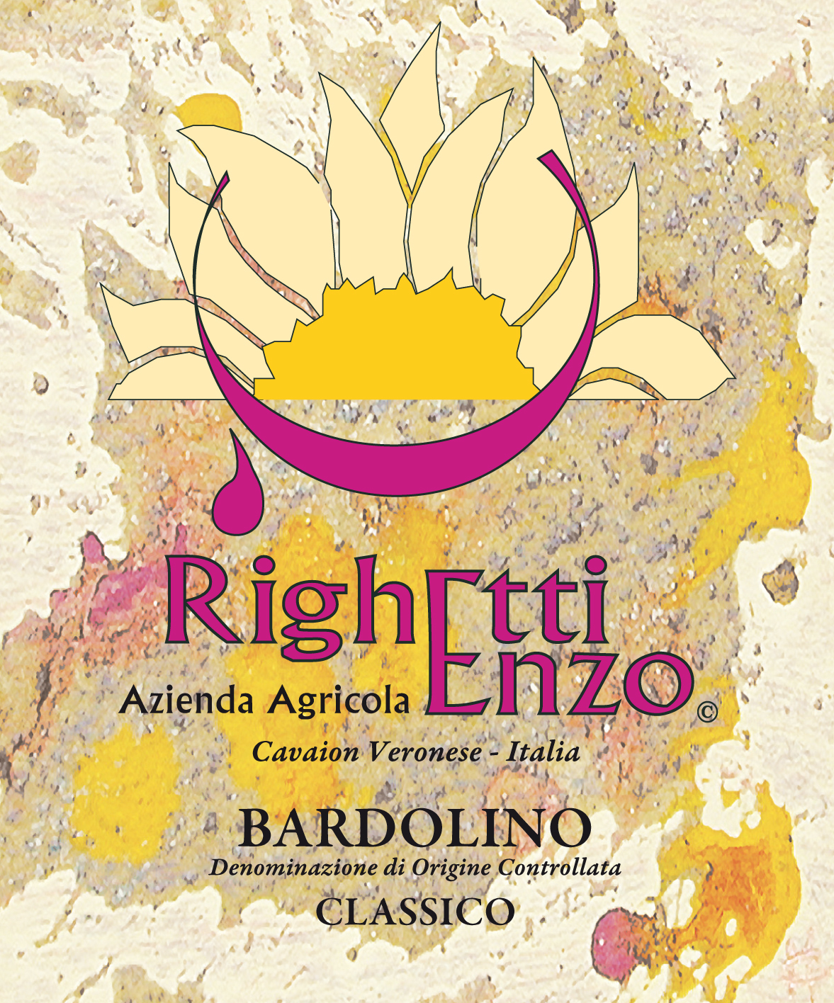 Vinetia: guida ai vini del veneto. Vino Bardolino Classico